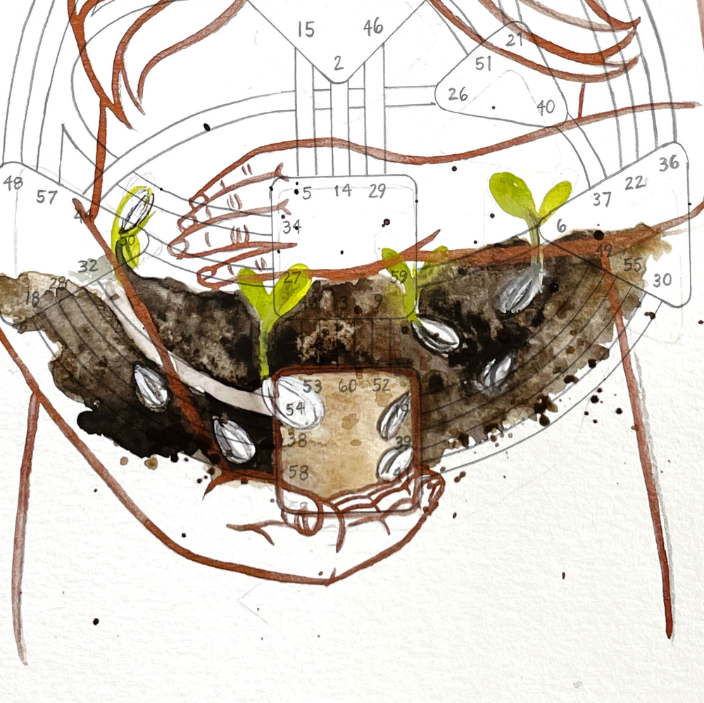 Exploring Gate 54 in Human Design: The Gate of Ambition — Jahje Ives