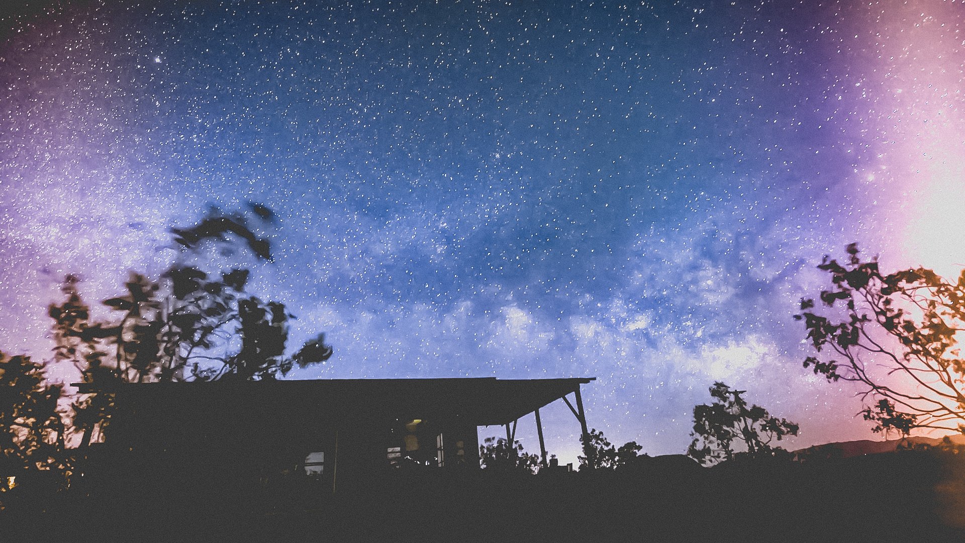 Short Scripts — Nova Hynes