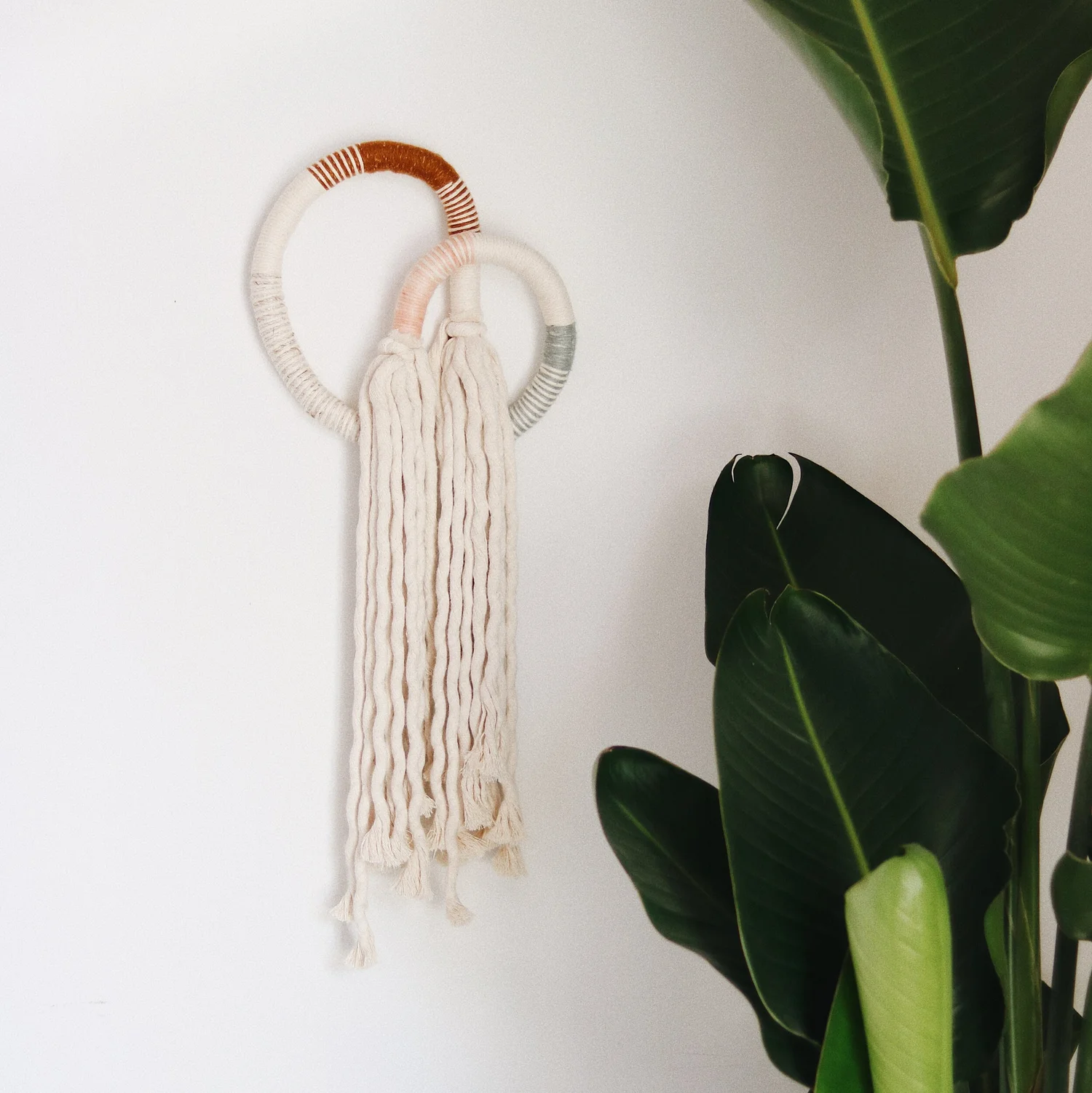 Shop — FIBROUS | Woven Art + Rope Installations