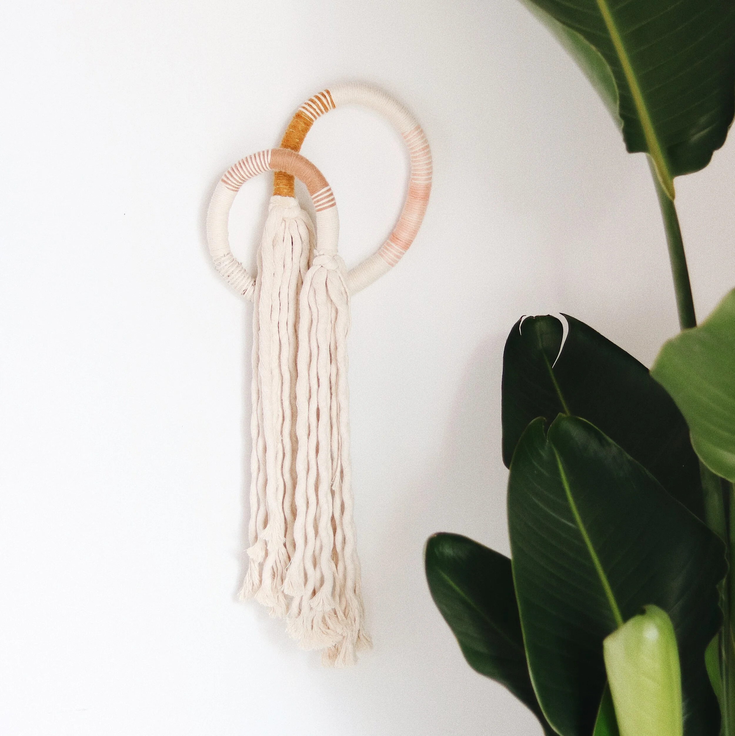 Shop — FIBROUS | Woven Art + Rope Installations