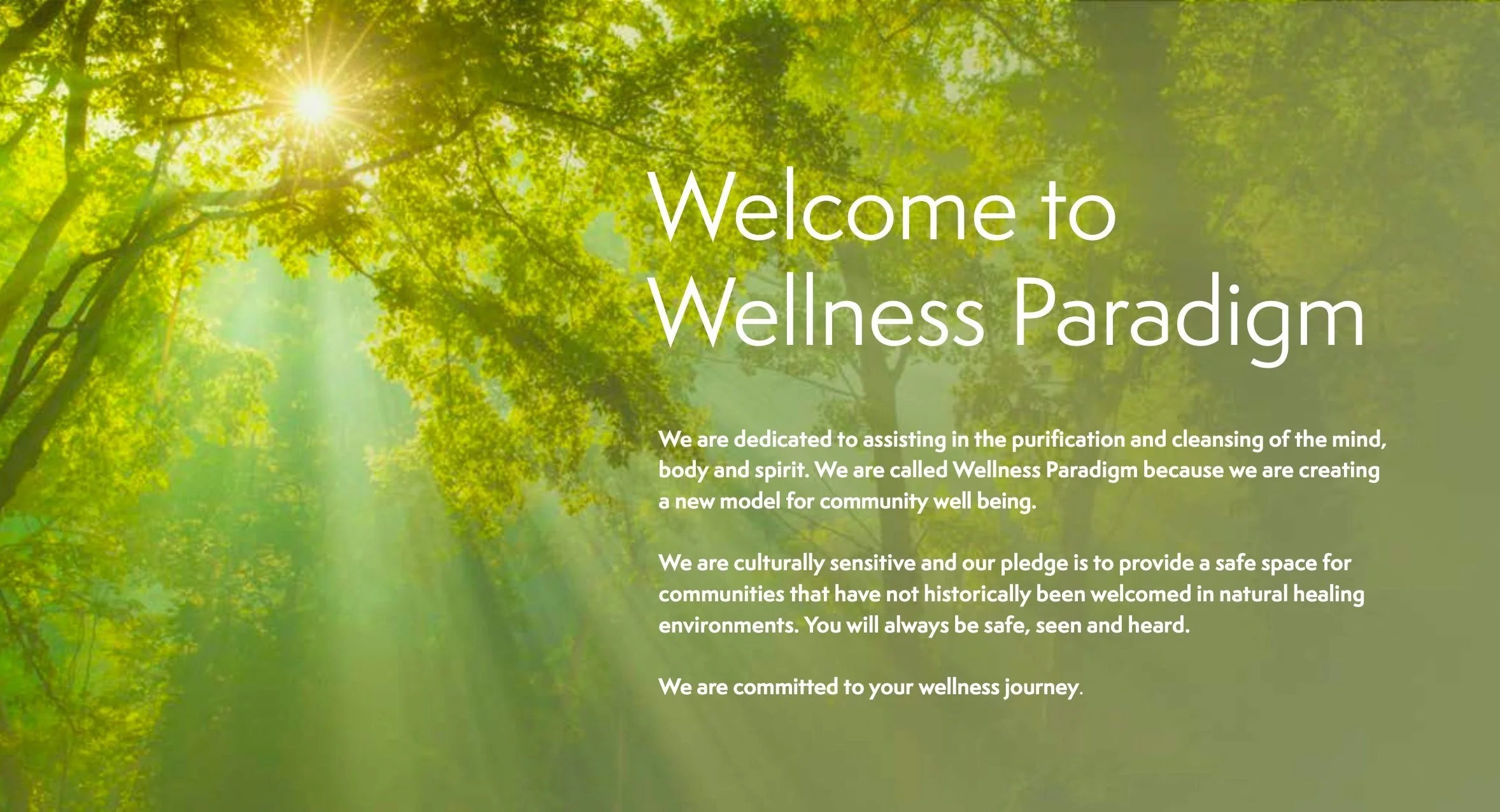 Wellness Paradigm