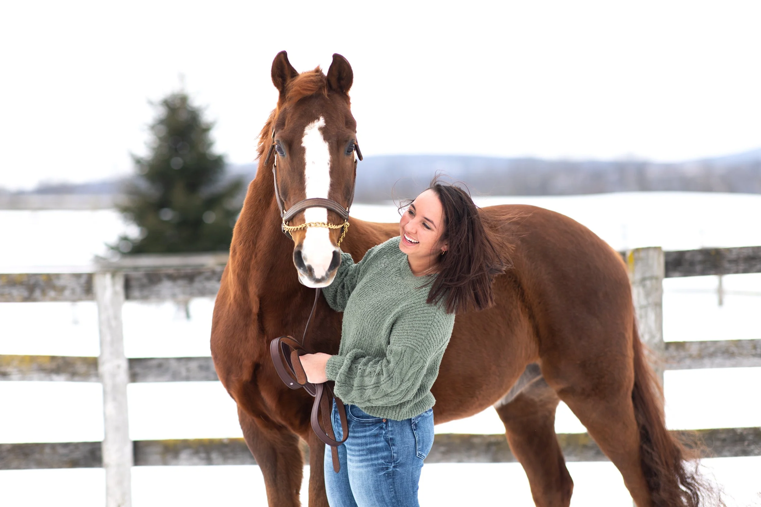 Wisconsin Equestrian and Pet Photographer