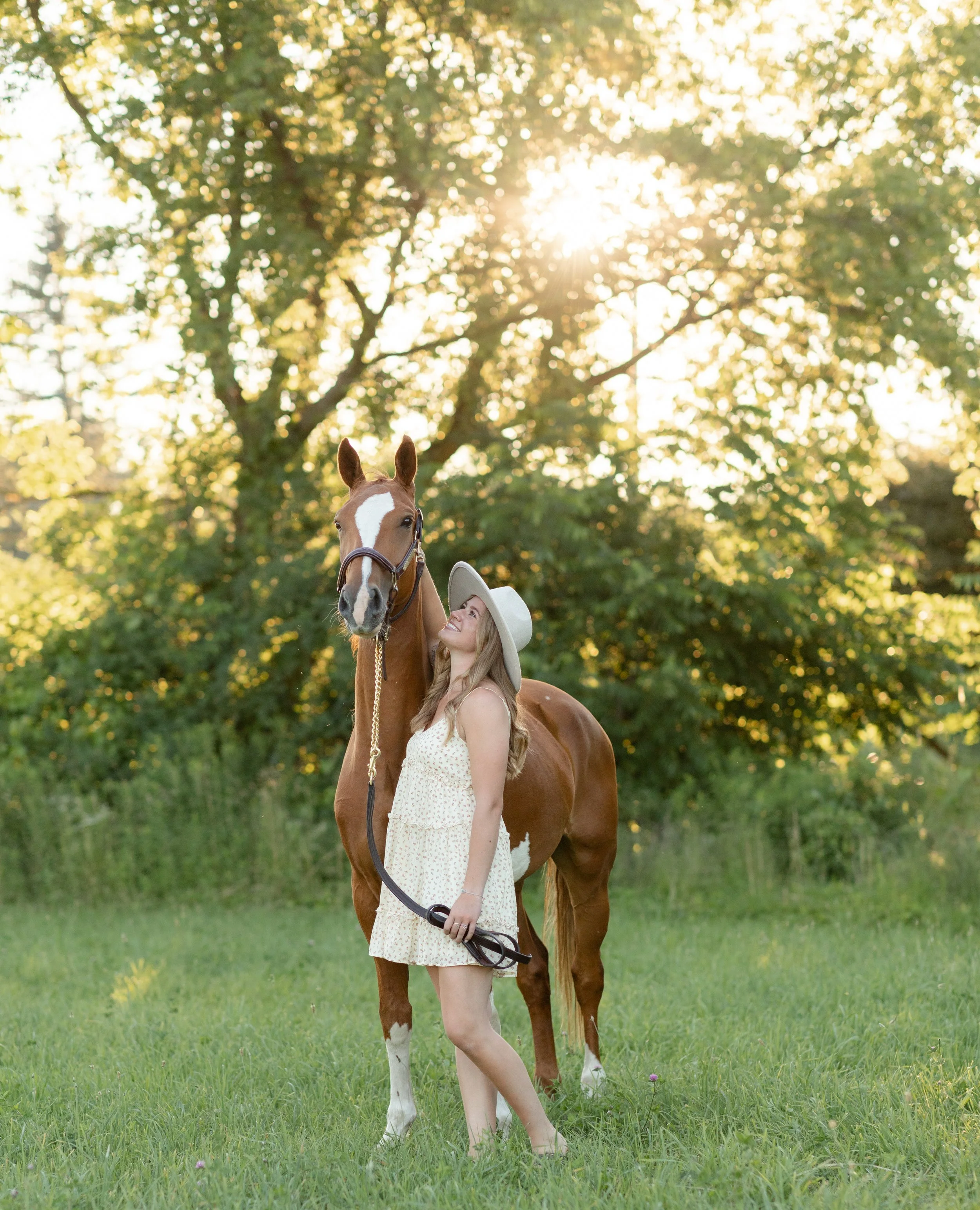 Wisconsin Equestrian and Pet Photographer