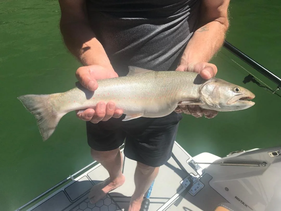 Guided Fishing Trips | Triple T Outfitters | Kokanee Charters | Lake ...