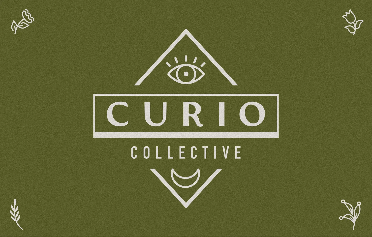 Curio Collective — Melissa Simonian Studio