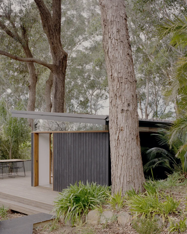 Bush Studio — Dane Taylor Design | Residential Design Studio | Illawarra
