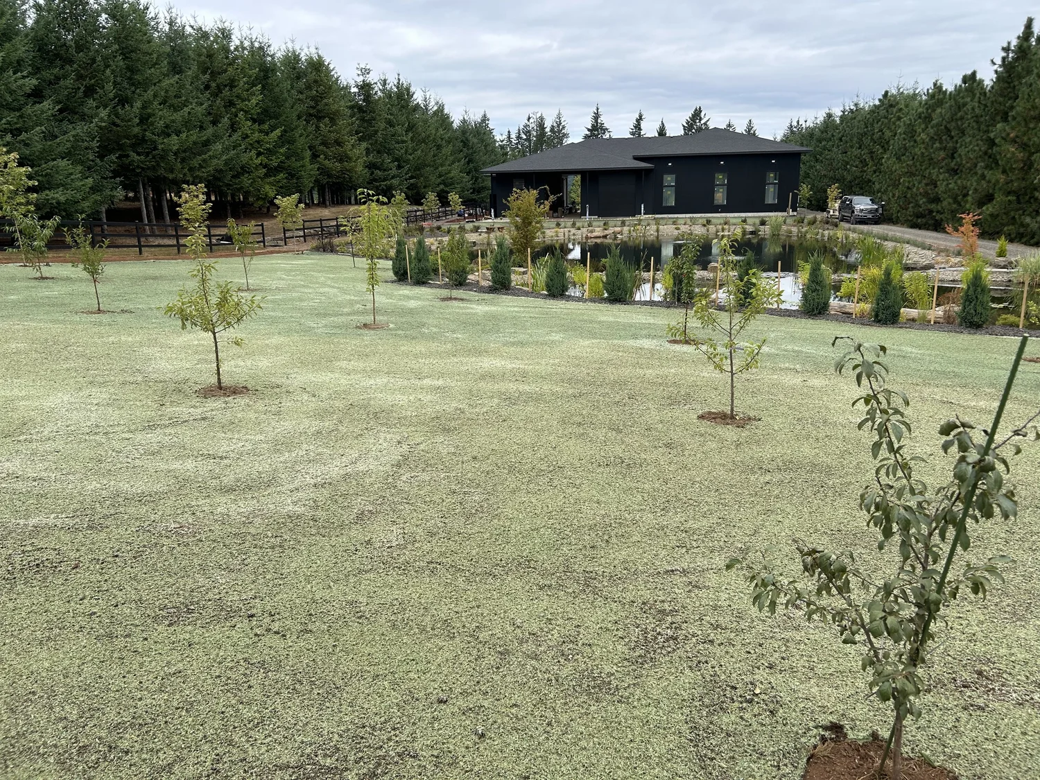 Gallery — Oregon Hydroseed