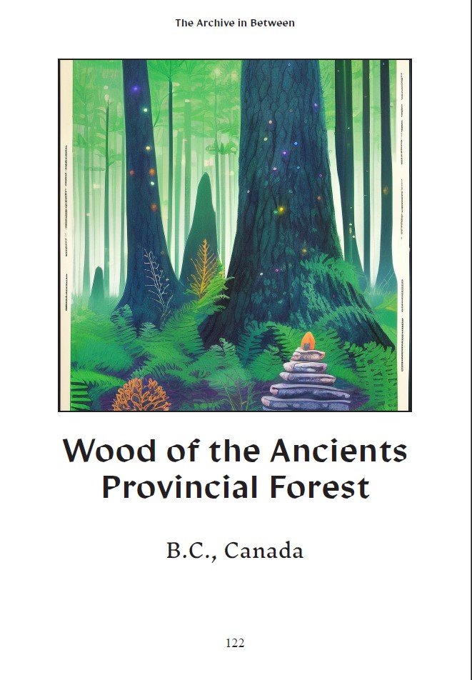 Books — The Archive In Between