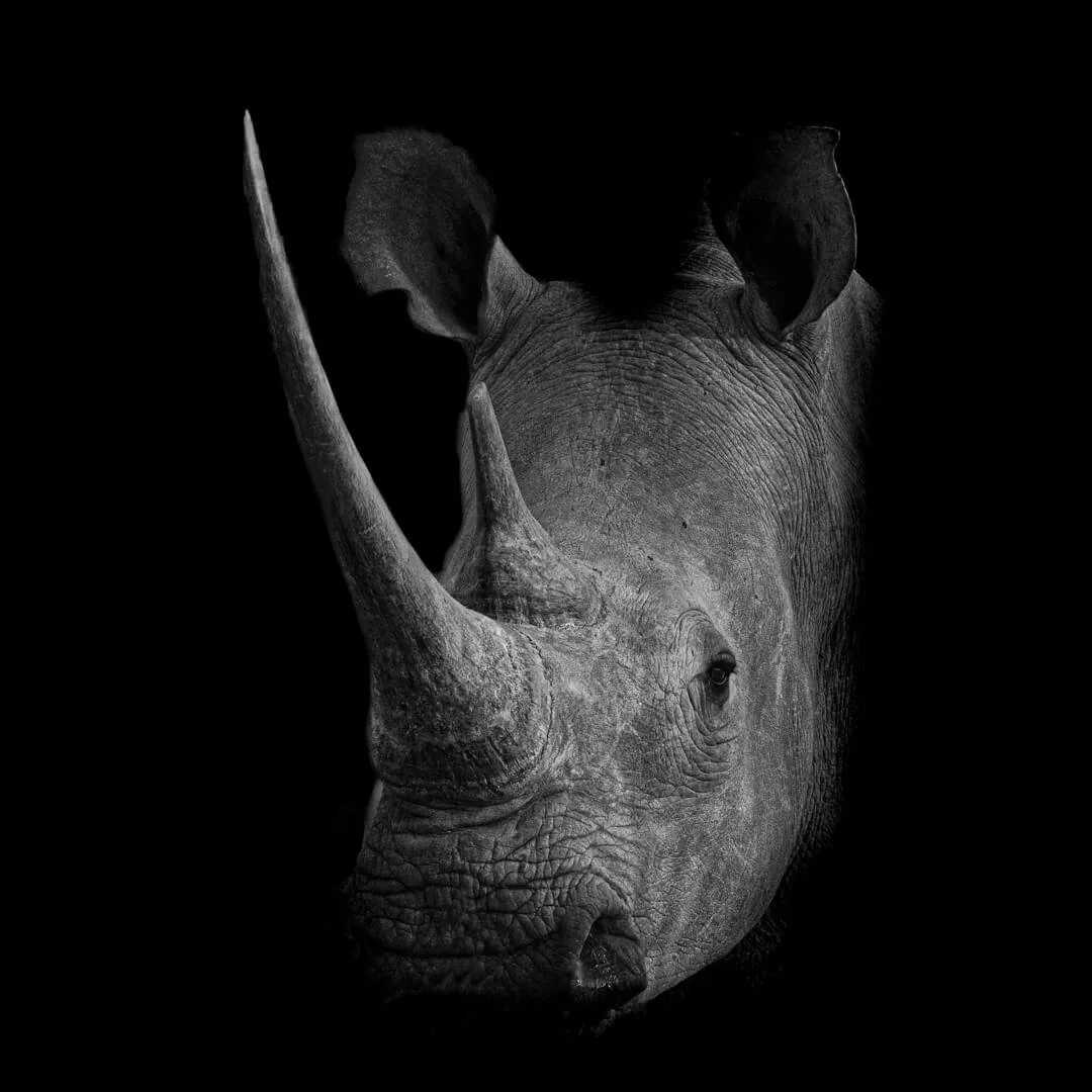 Open Projected Image 02 — Devizes Photography Club