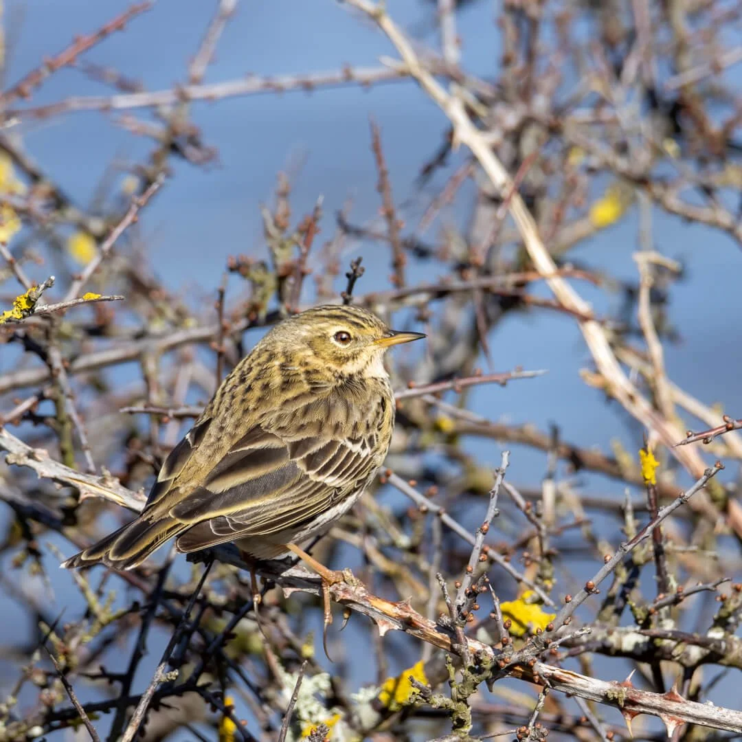 Keyhaven — Devizes Photography Club