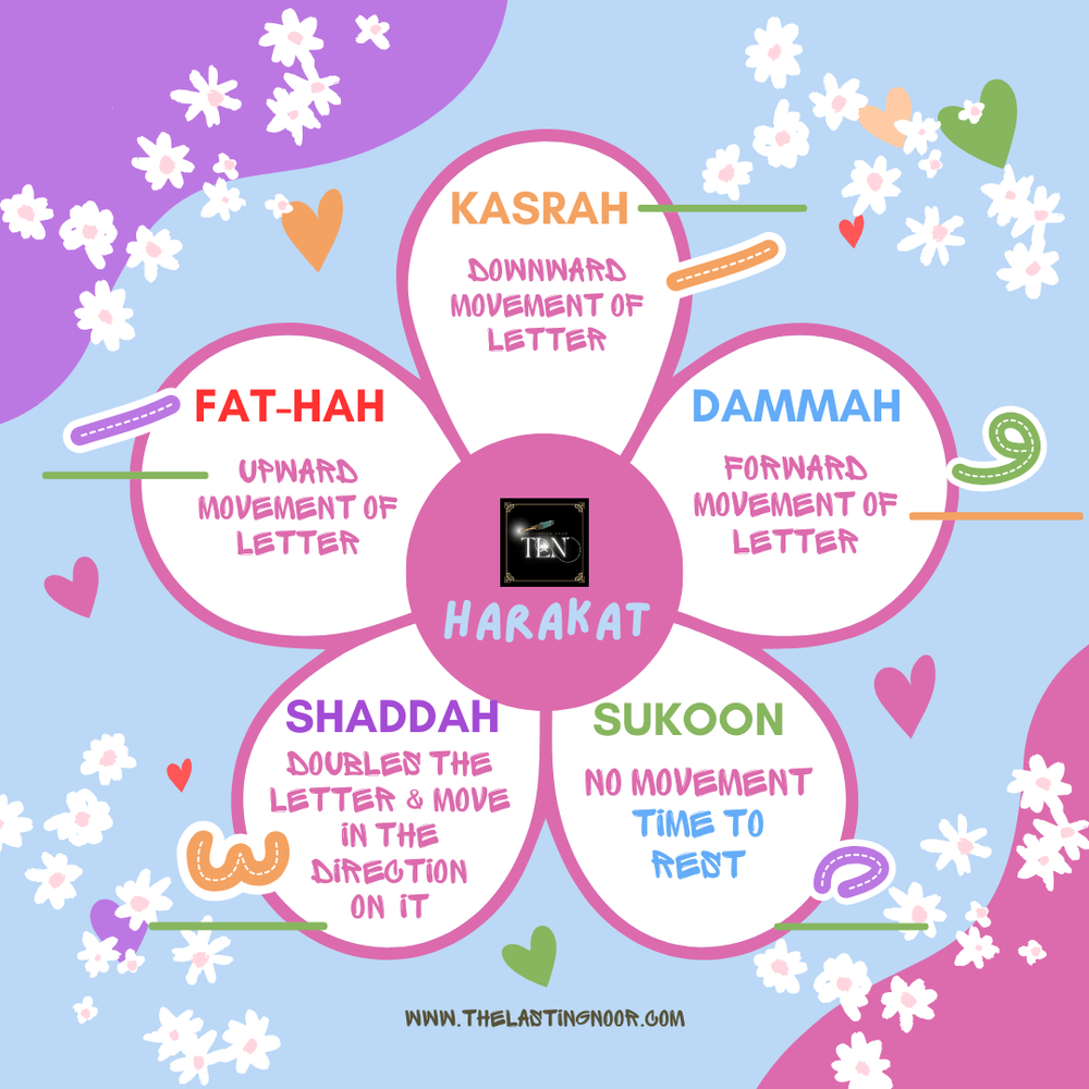 Wonders of Harakat (short vowels) — The Lasting Noor