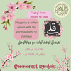 Quran Tajweed Symbols — The Lasting Noor