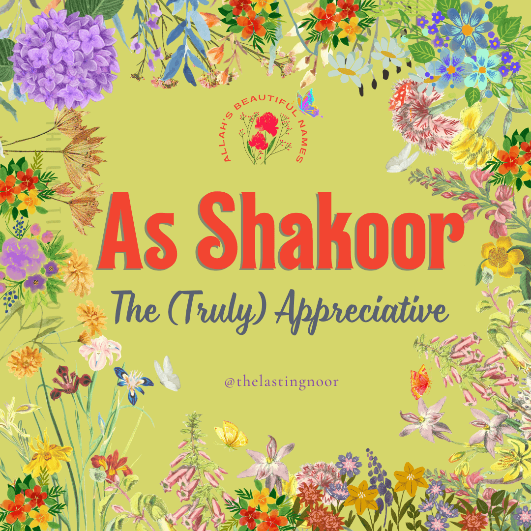 As Shakoor - The (Truly) Appreciative — The Lasting Noor