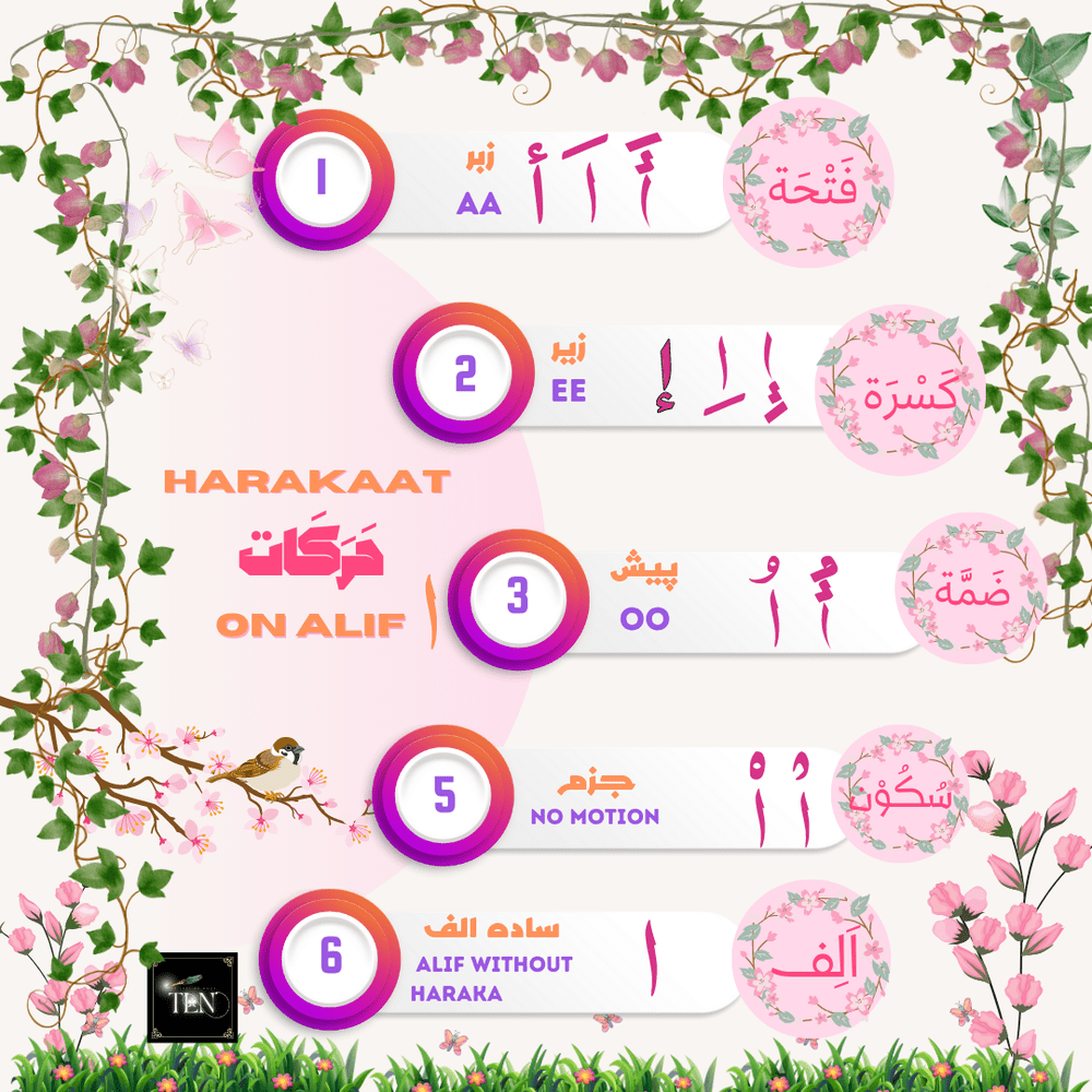 The Alif Garden - Story of Alif and Hamza — The Lasting Noor