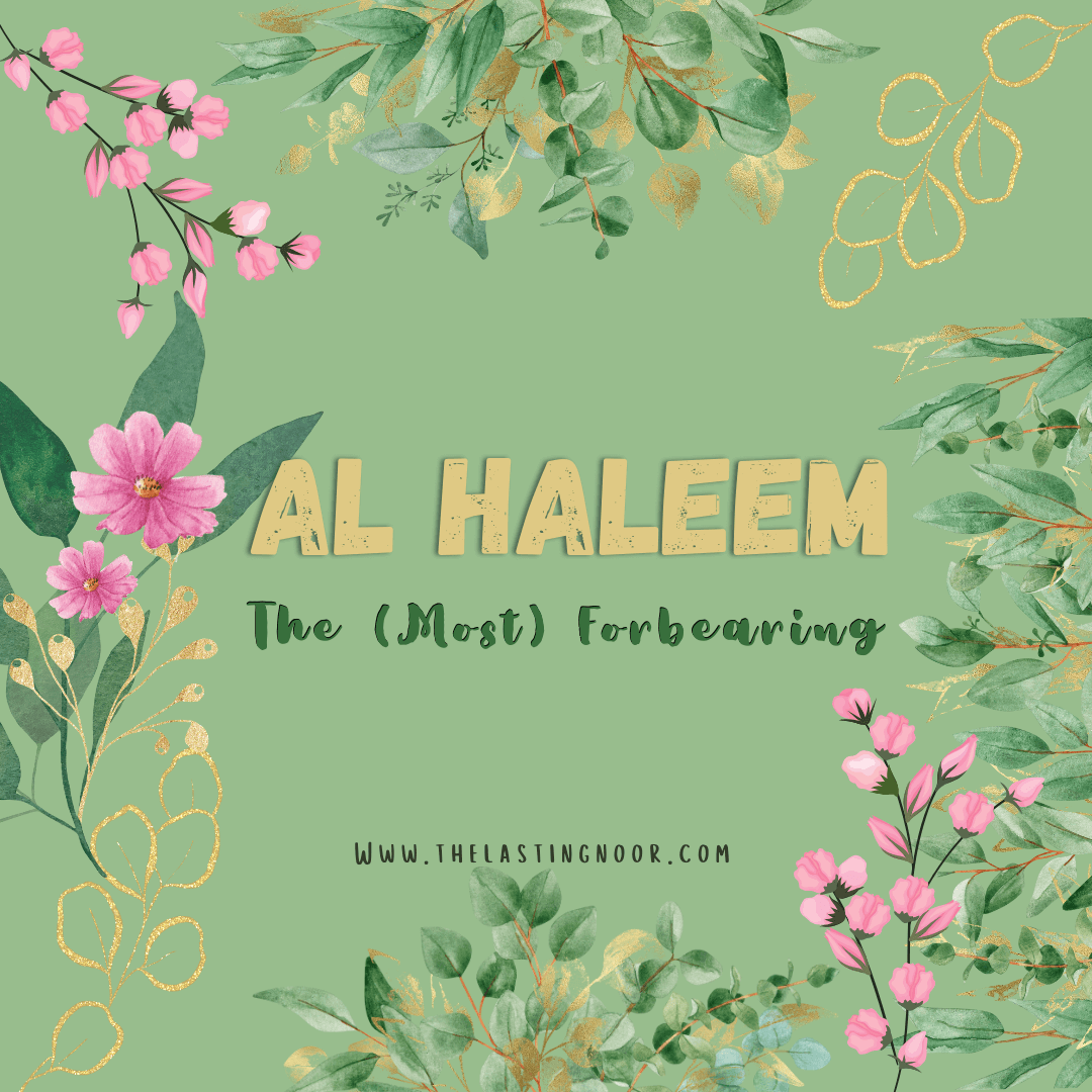 Al Haleem - The (Most) Forbearing — The Lasting Noor