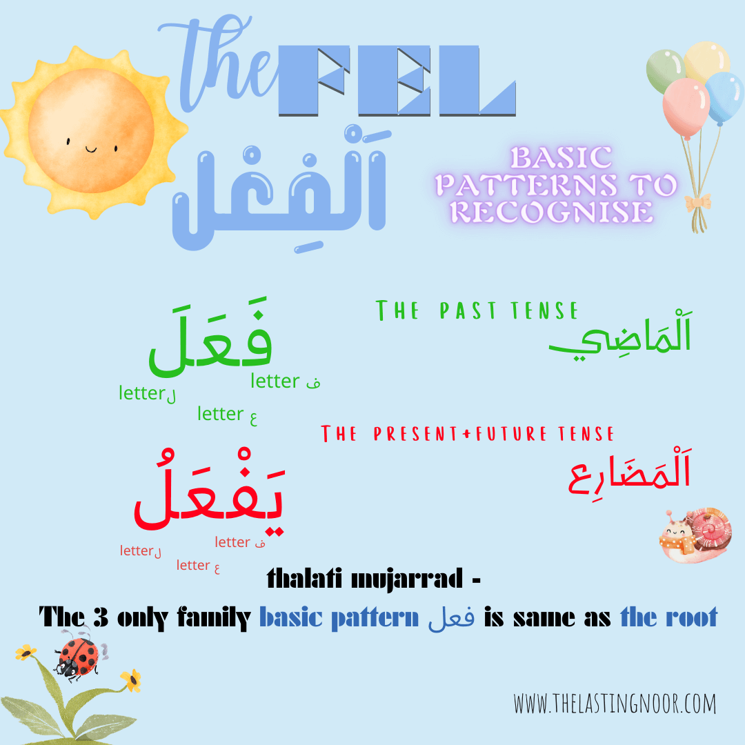 The Fel Combos - Fel Basic Definitions, Fel Al Maazi & Fel Al Madaray ...
