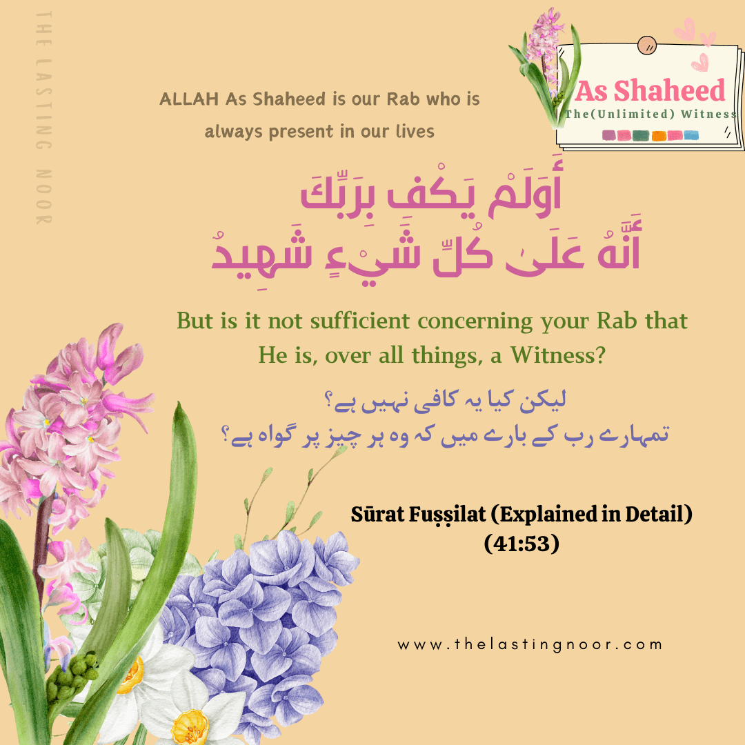 As Shaheed - The (Unlimited) Witness — The Lasting Noor