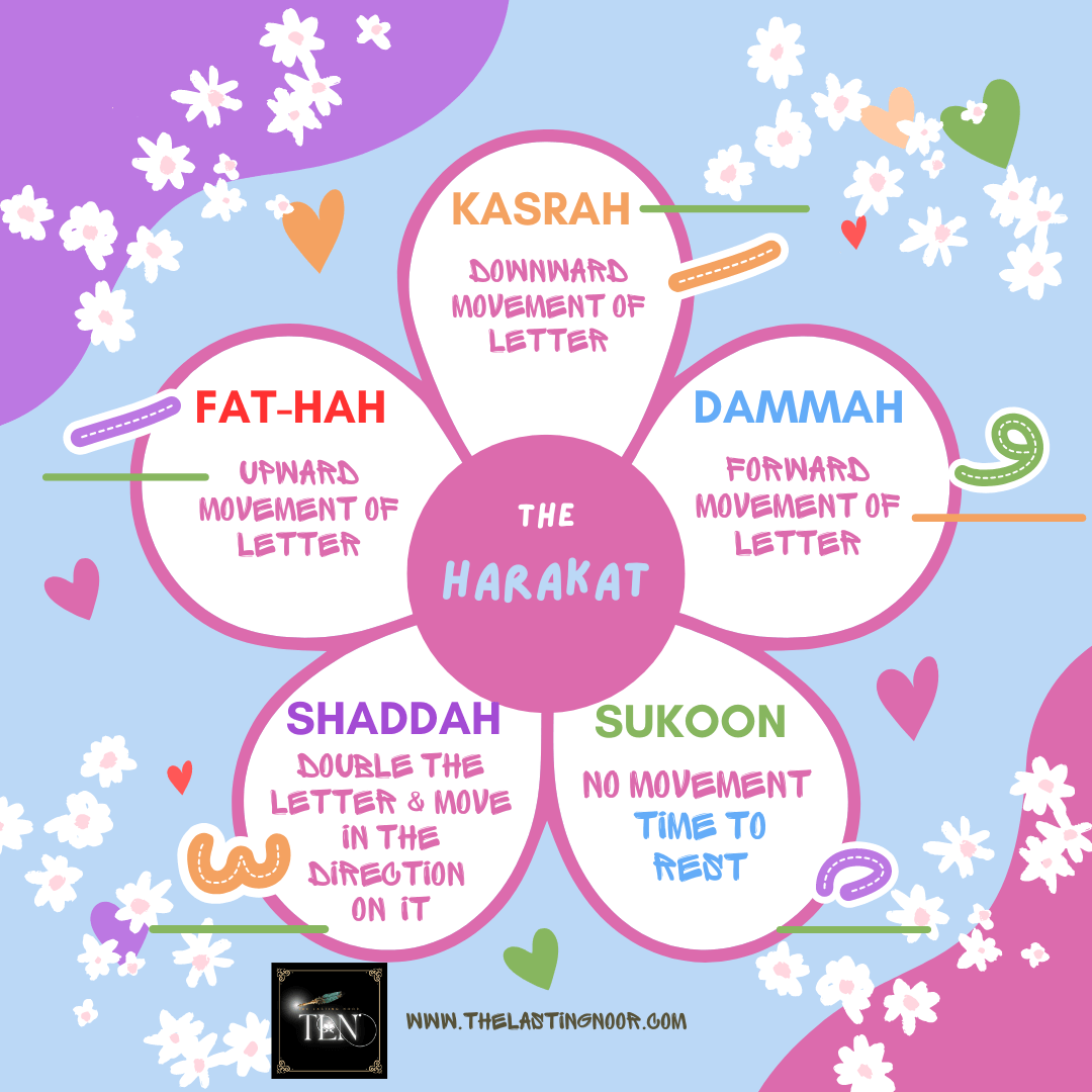 Wonders of Harakat (short vowels) — The Lasting Noor