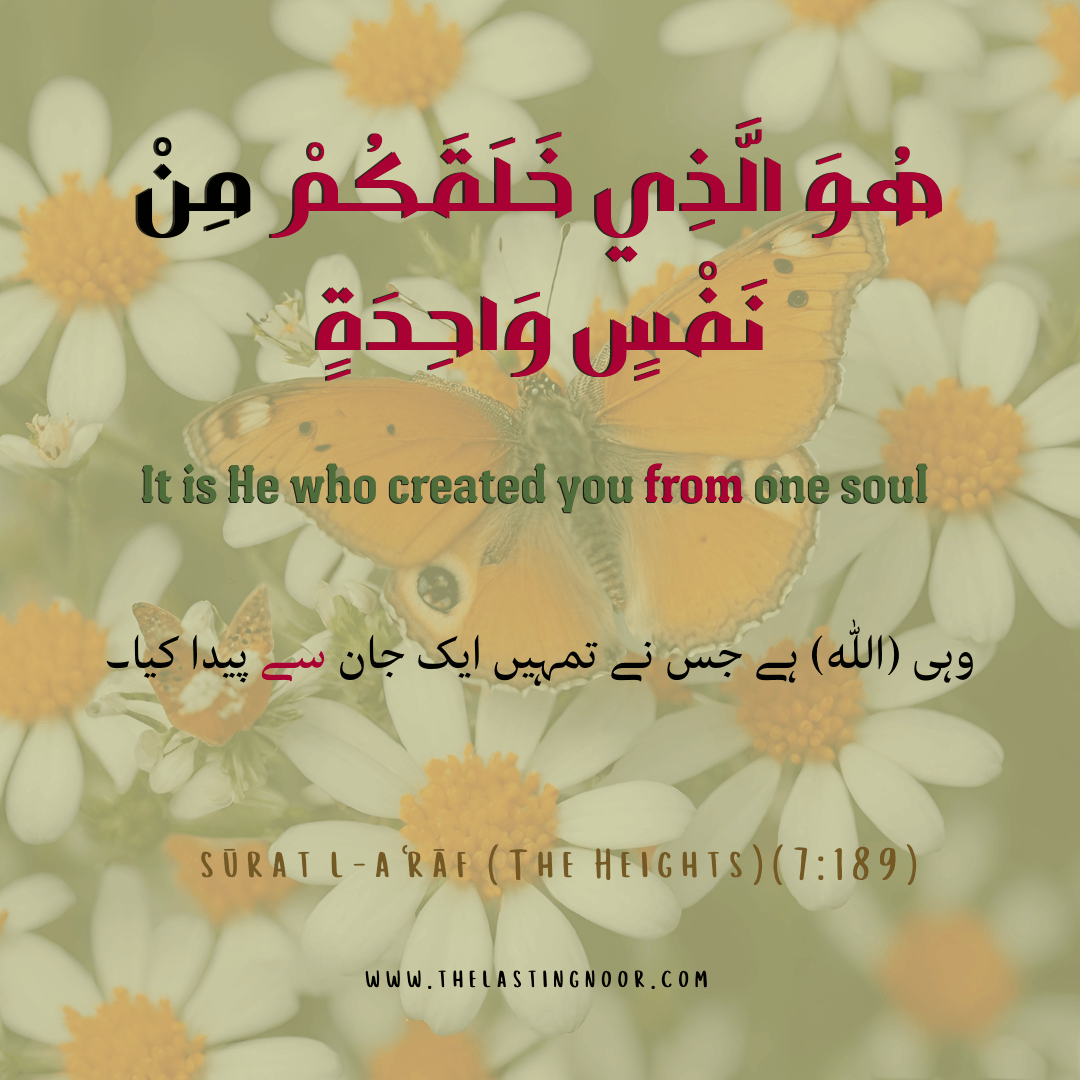 Harf Al Jarr - Min — The Lasting Noor