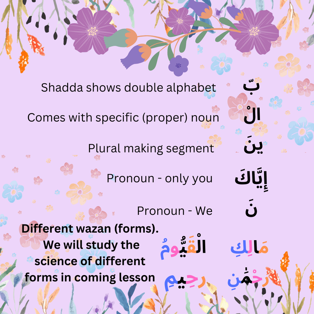 Root System of Arabic words — The Lasting Noor