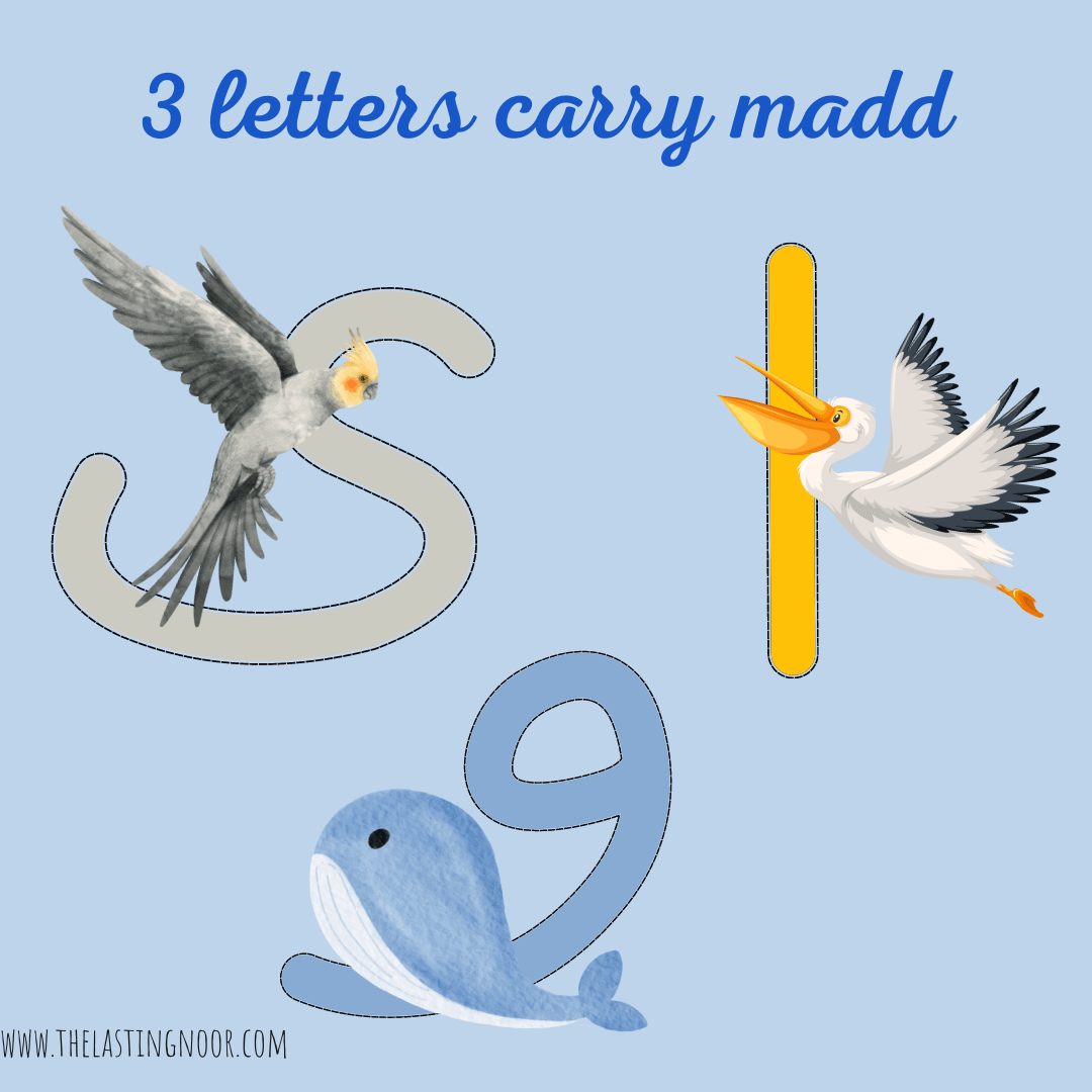 Carrying "The Maddah" with care — The Lasting Noor