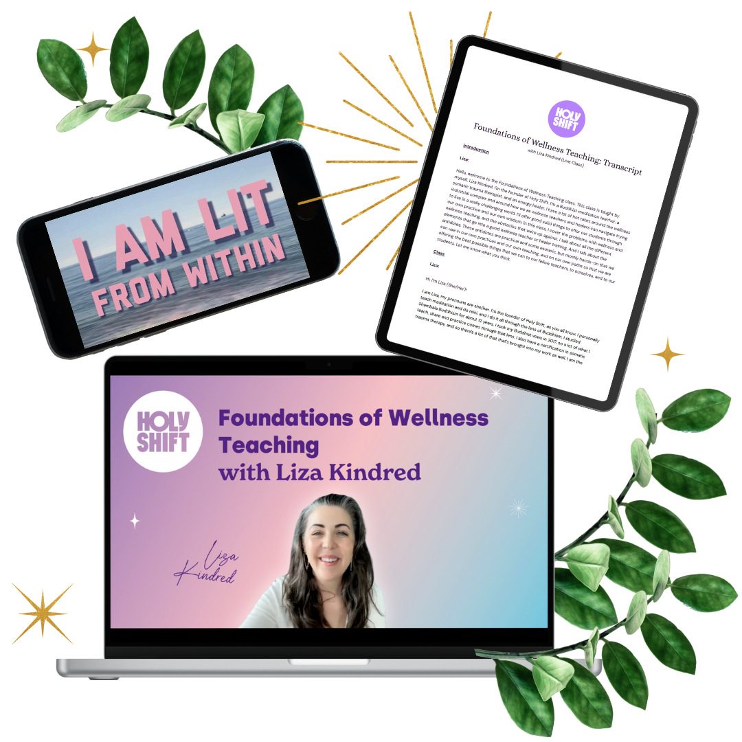 Free Class: Foundations of Wellness Teaching — HOLY SHIFT