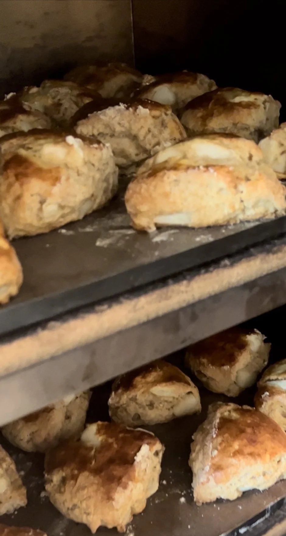 Shop Bread in Sacramento — Andy.Bakes.Bread.