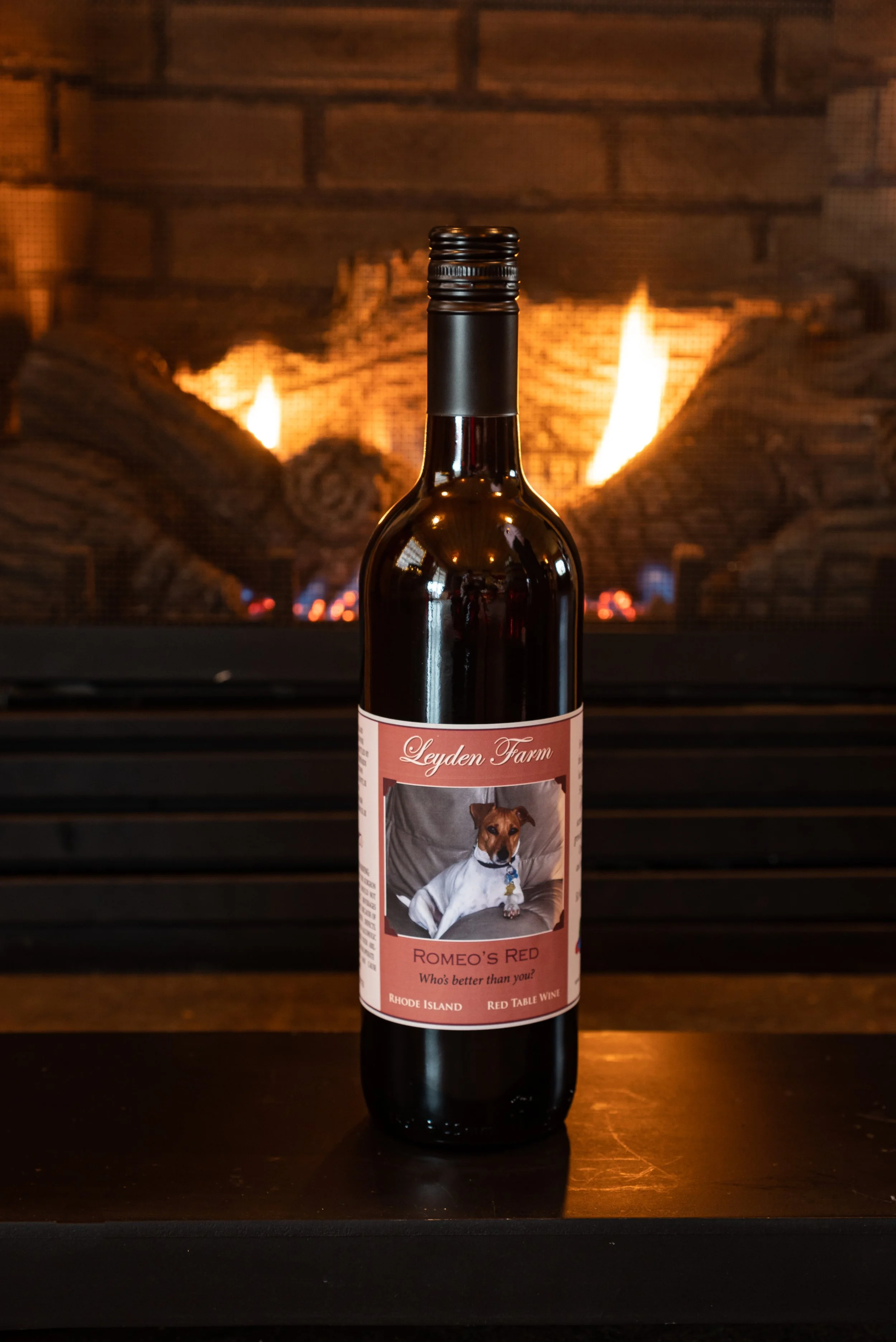 Wine shop — Leyden Farm Vineyard & Winery
