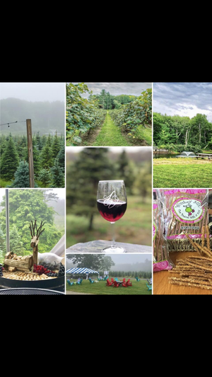 Our Story — Leyden Farm Vineyard & Winery