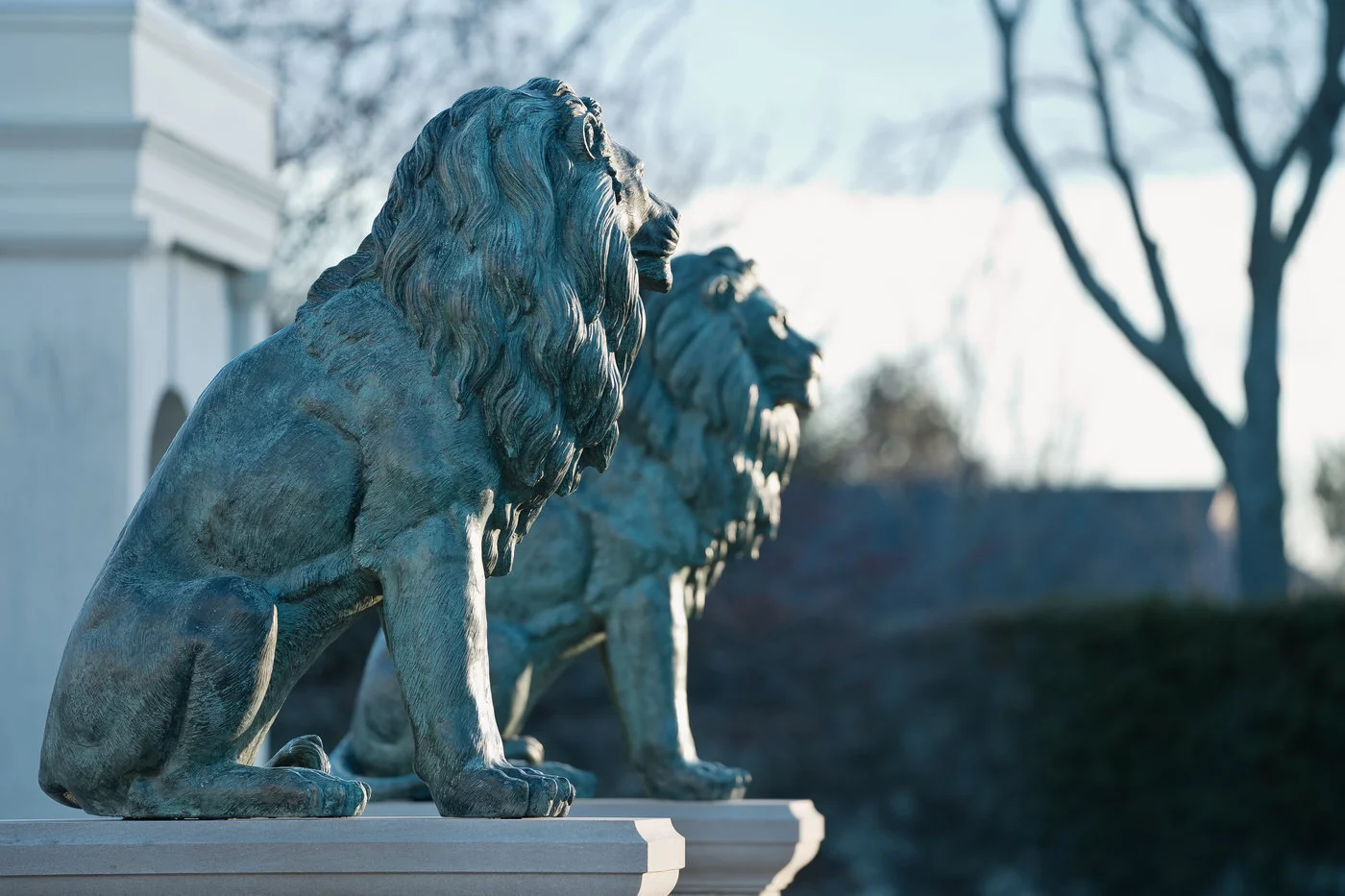 Fred M. Alger Center — The War Memorial
