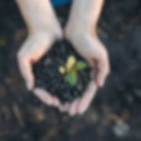 News — The War Memorial