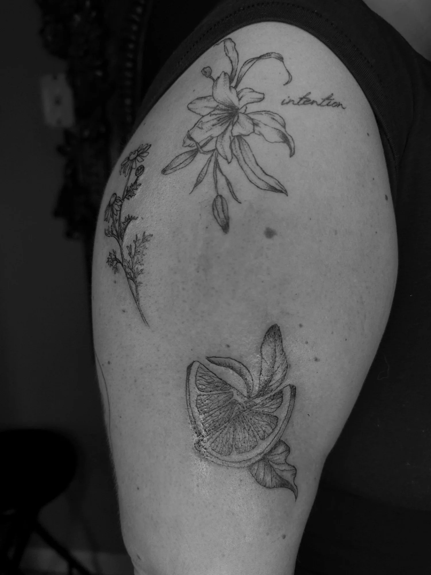 TATTOO — Guided By The Moon Co.