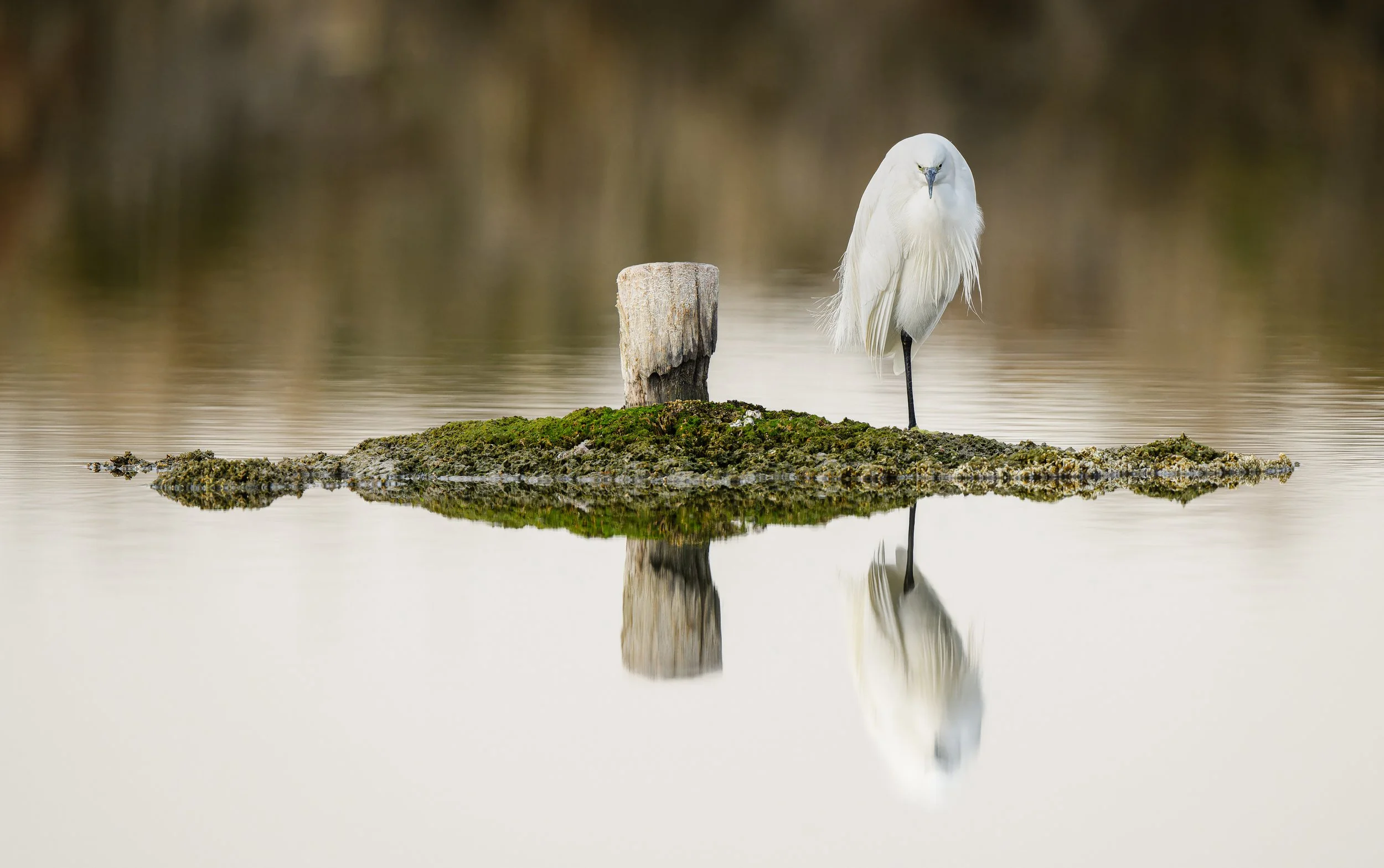 Christophe Parent Photography