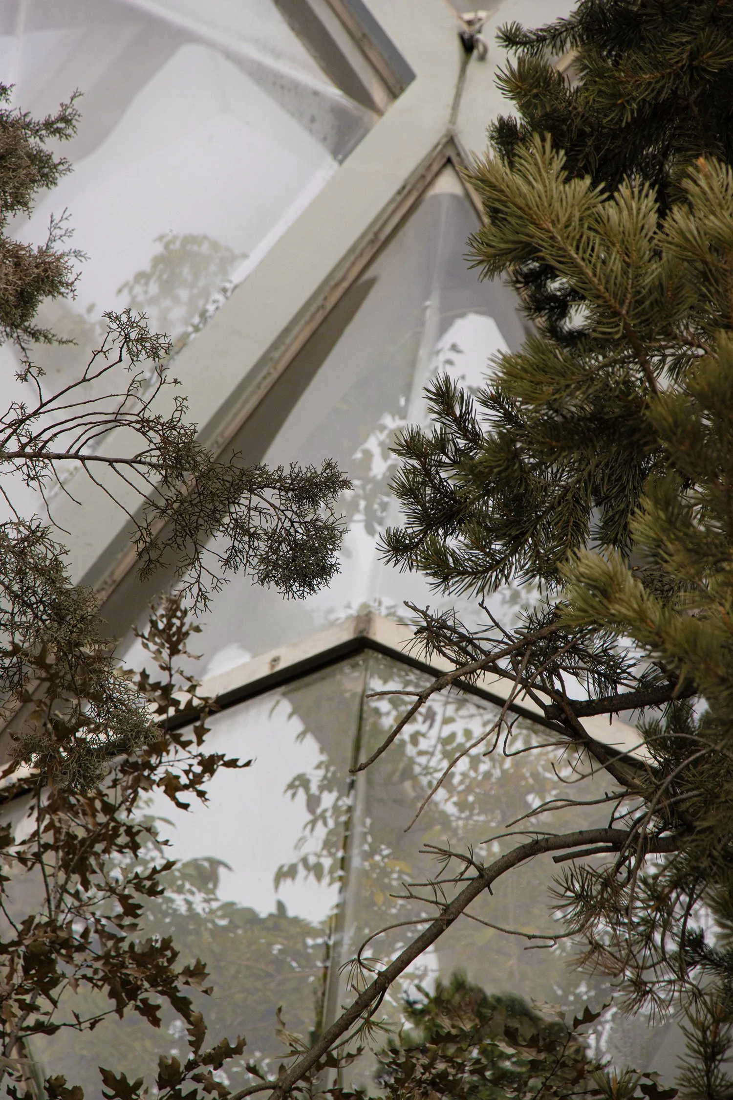Inside Outside — Myers Fine Art Photography