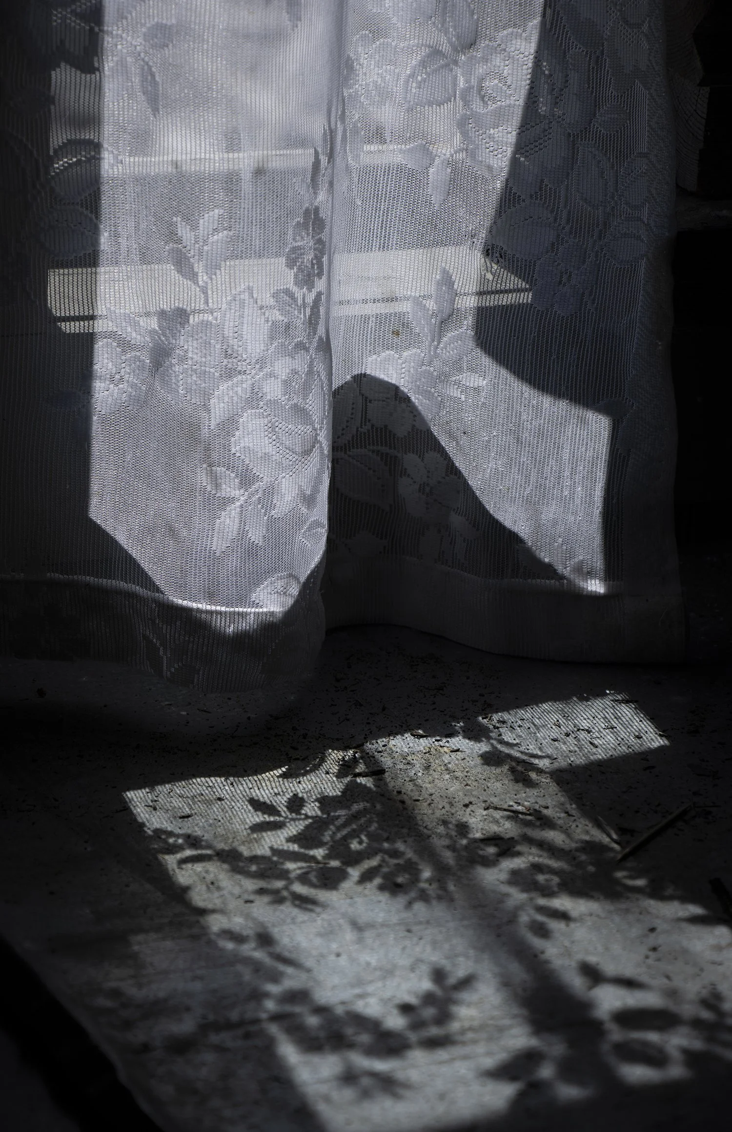 Myers Fine Art Photography