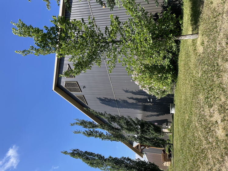 Diamond Willow Farms