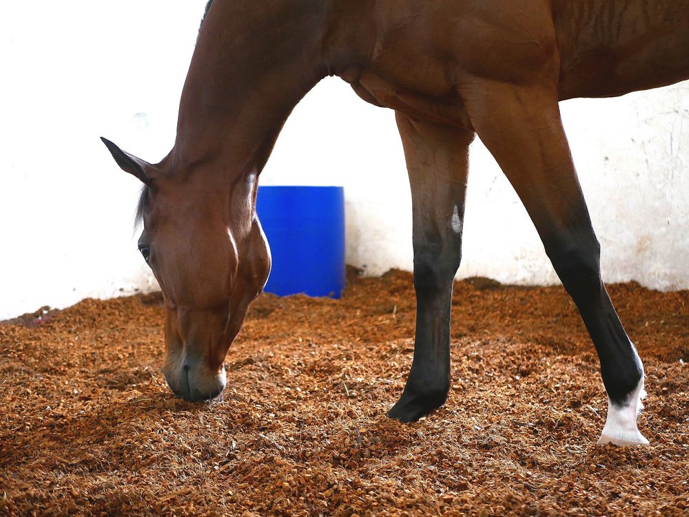 Husk Bedding - The Original Husk Horse Bedding