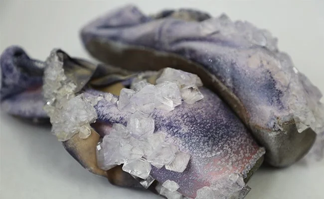 PERPSIRE — ALICE POTTS