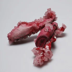 PERPSIRE — ALICE POTTS