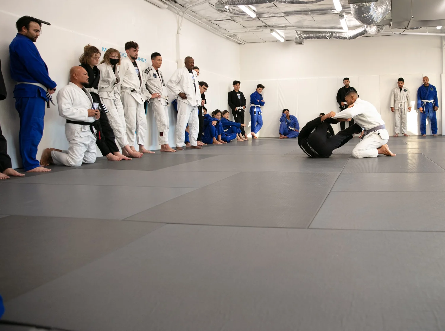 Like Water Jiu Jitsu