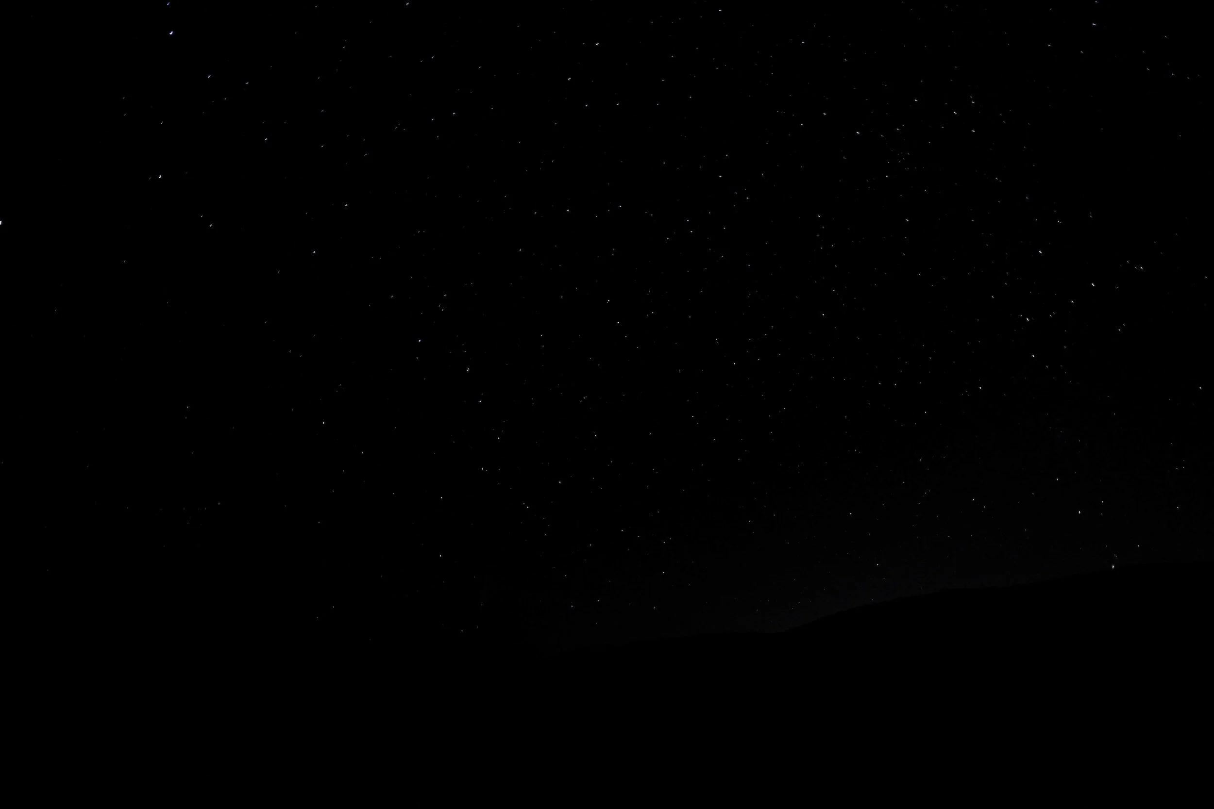 Distilled Ink Tattoo Parlor