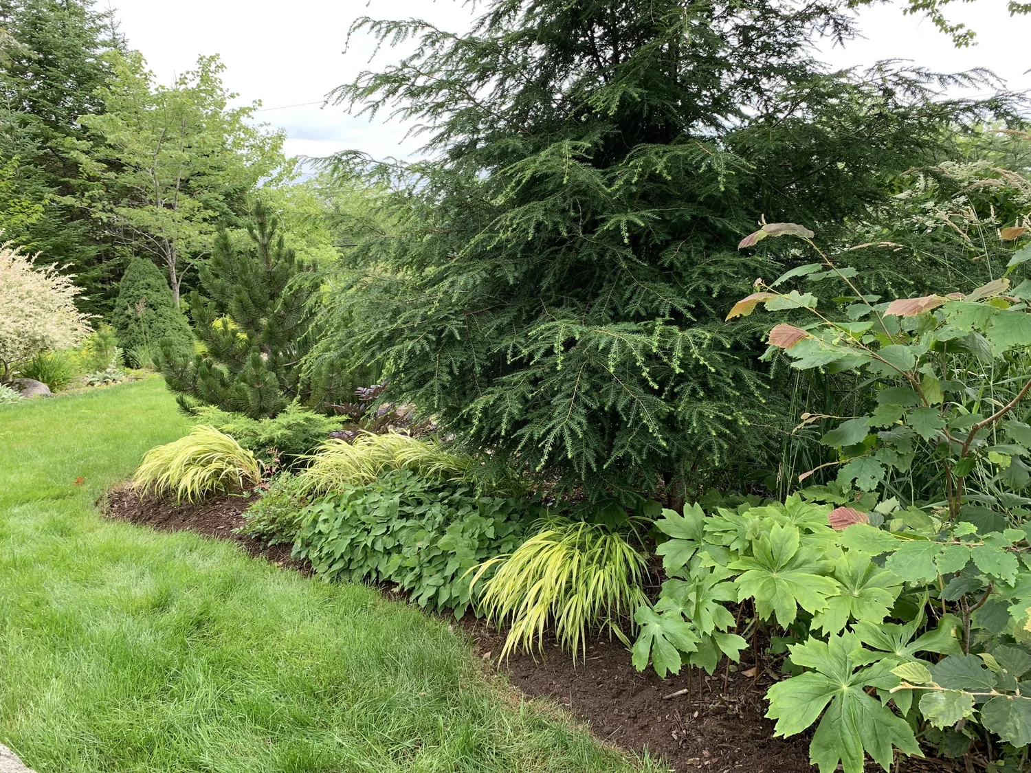 Landscape Consultation — Fernleaf Landscape Design