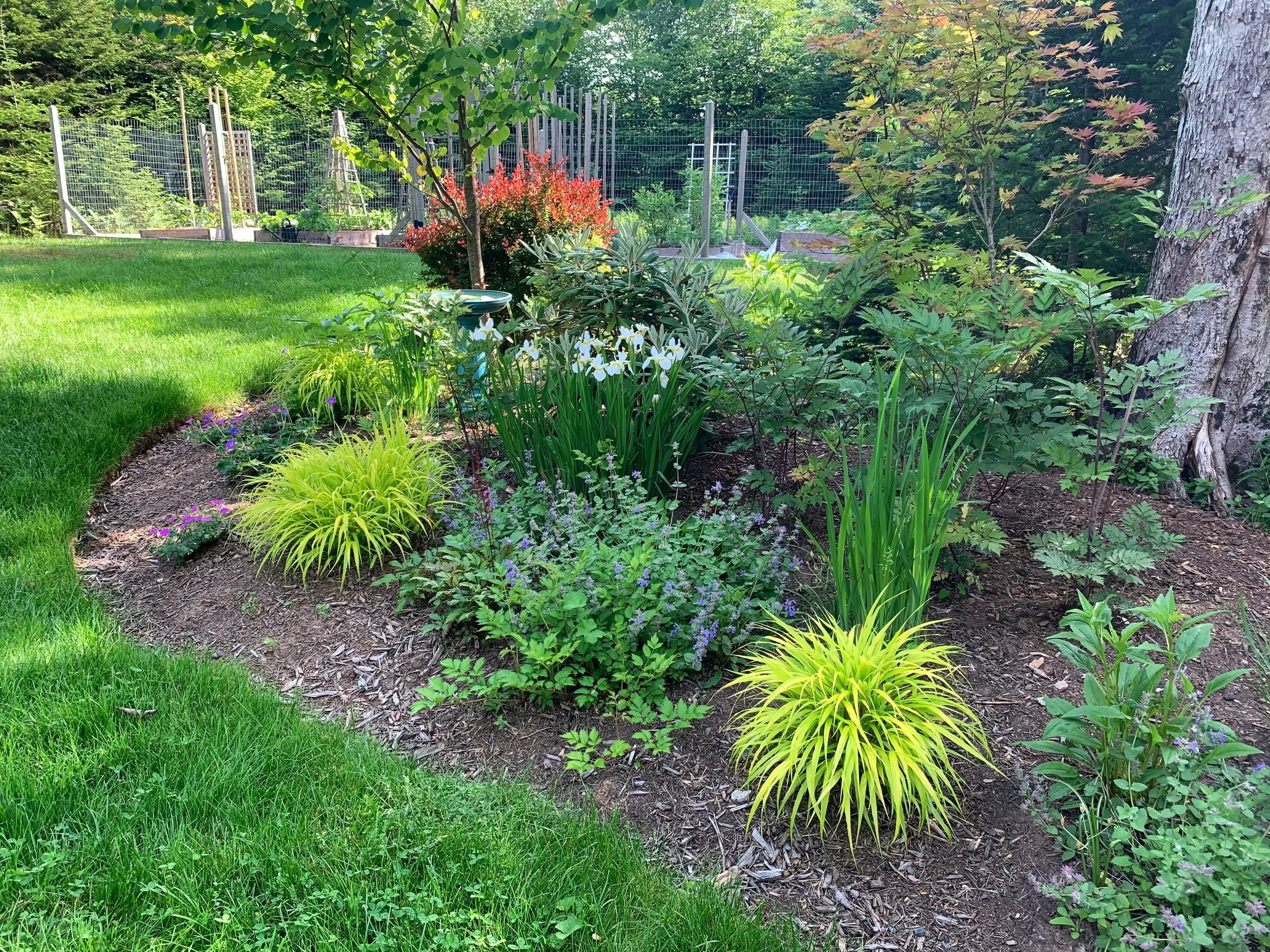 Landscape Consultation — Fernleaf Landscape Design