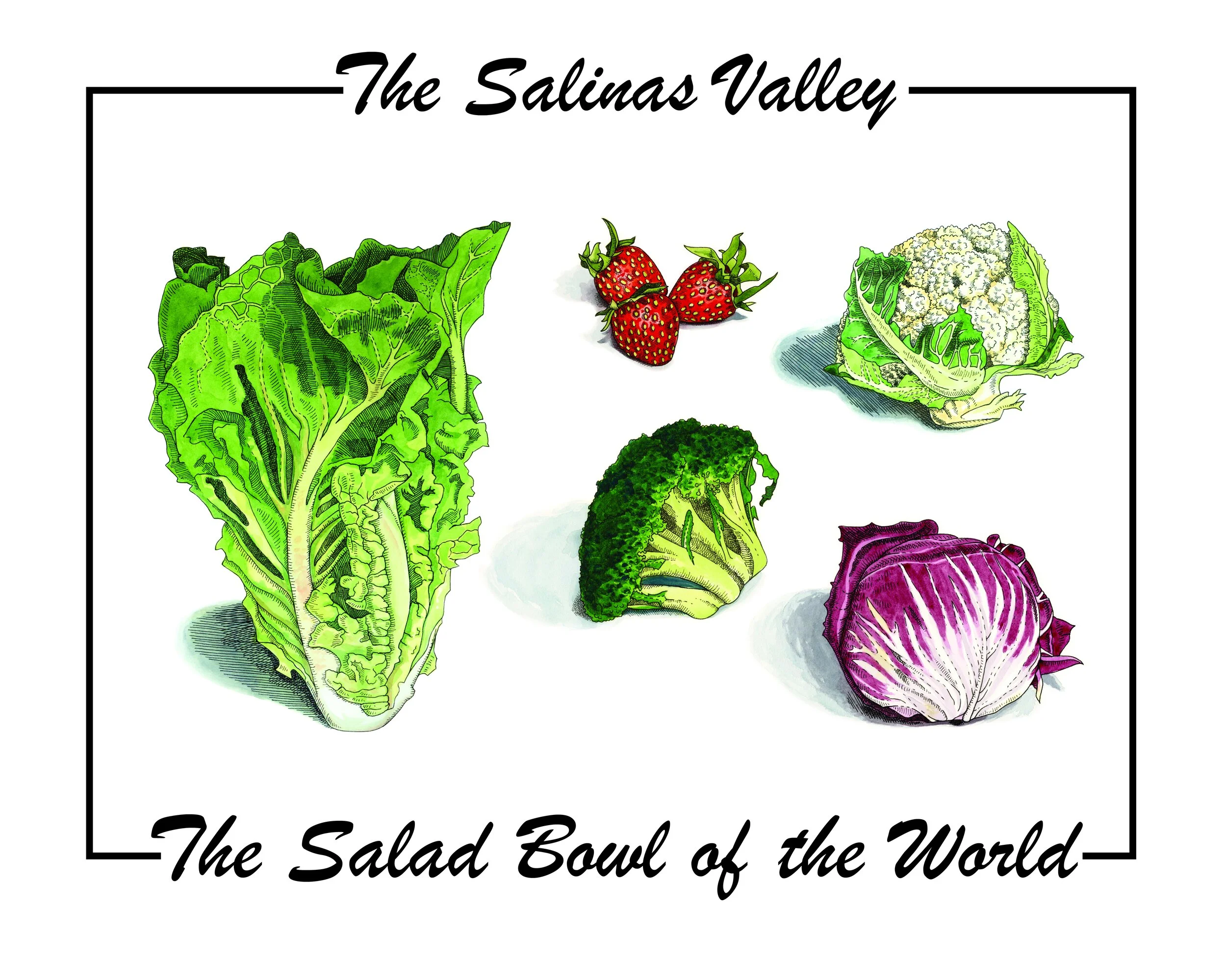 Salinas Produce Poster — Emma Oyle Illustrations