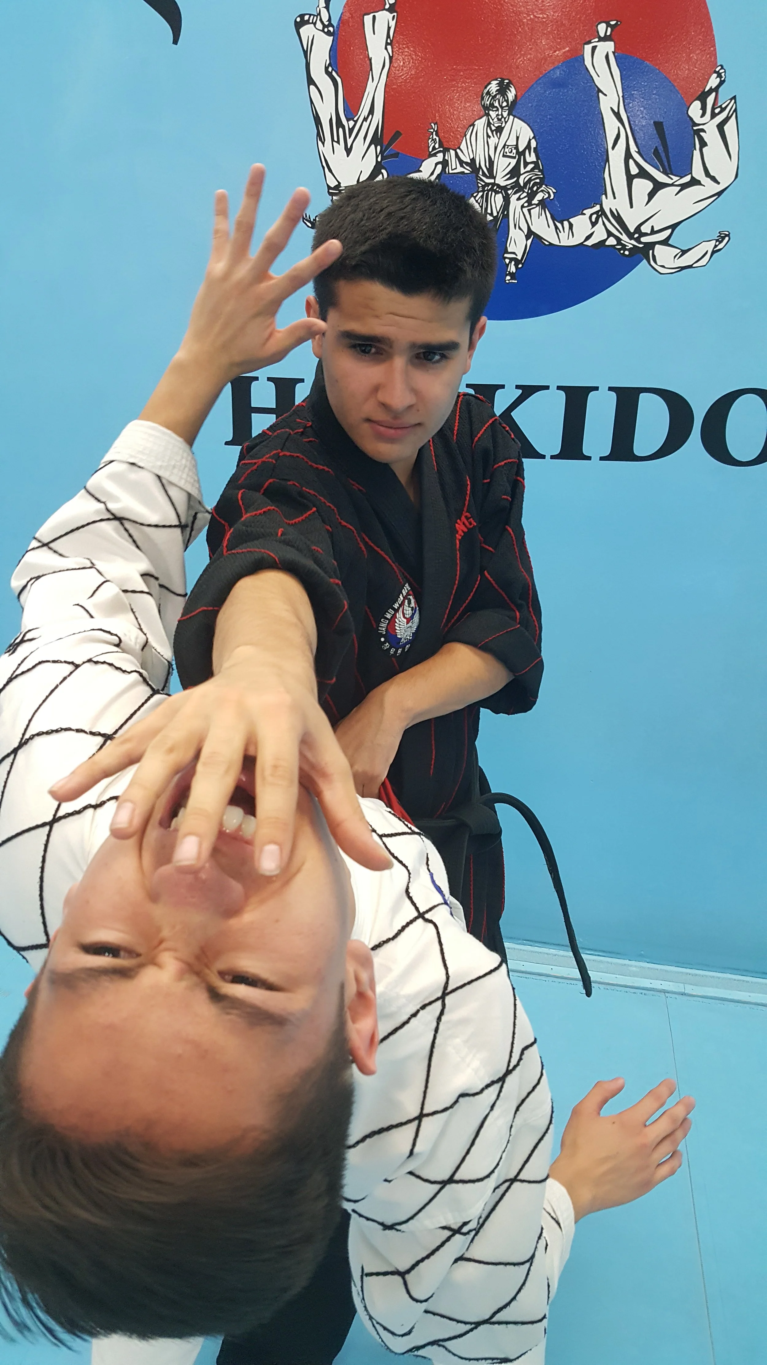 Self Defense for Adults & Teens (Ages 13 & Up) — Kim's Hapkido