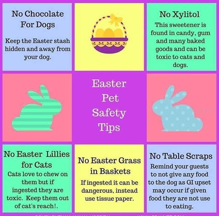 Blair Doon Veterinary Hospital