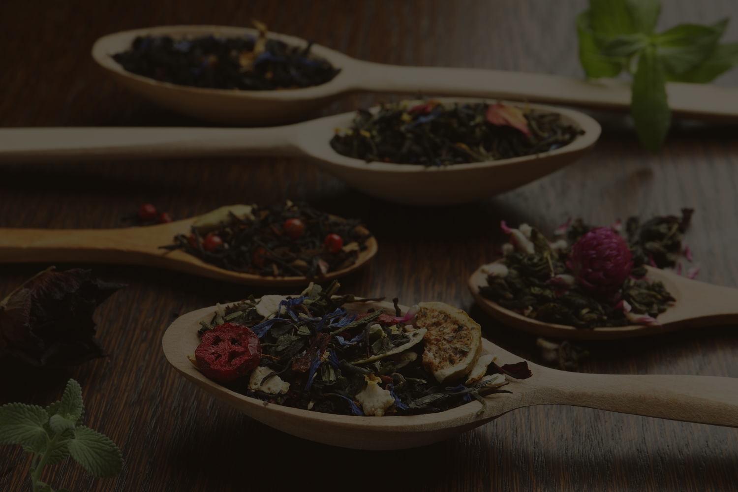 Welcome to Wish Tea Co. Wellness Infused.