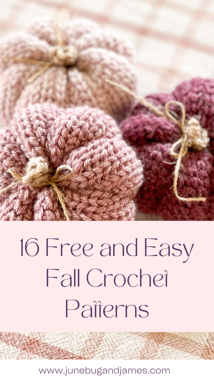 16 Free and Easy Fall Crochet Patterns — Junebug & James