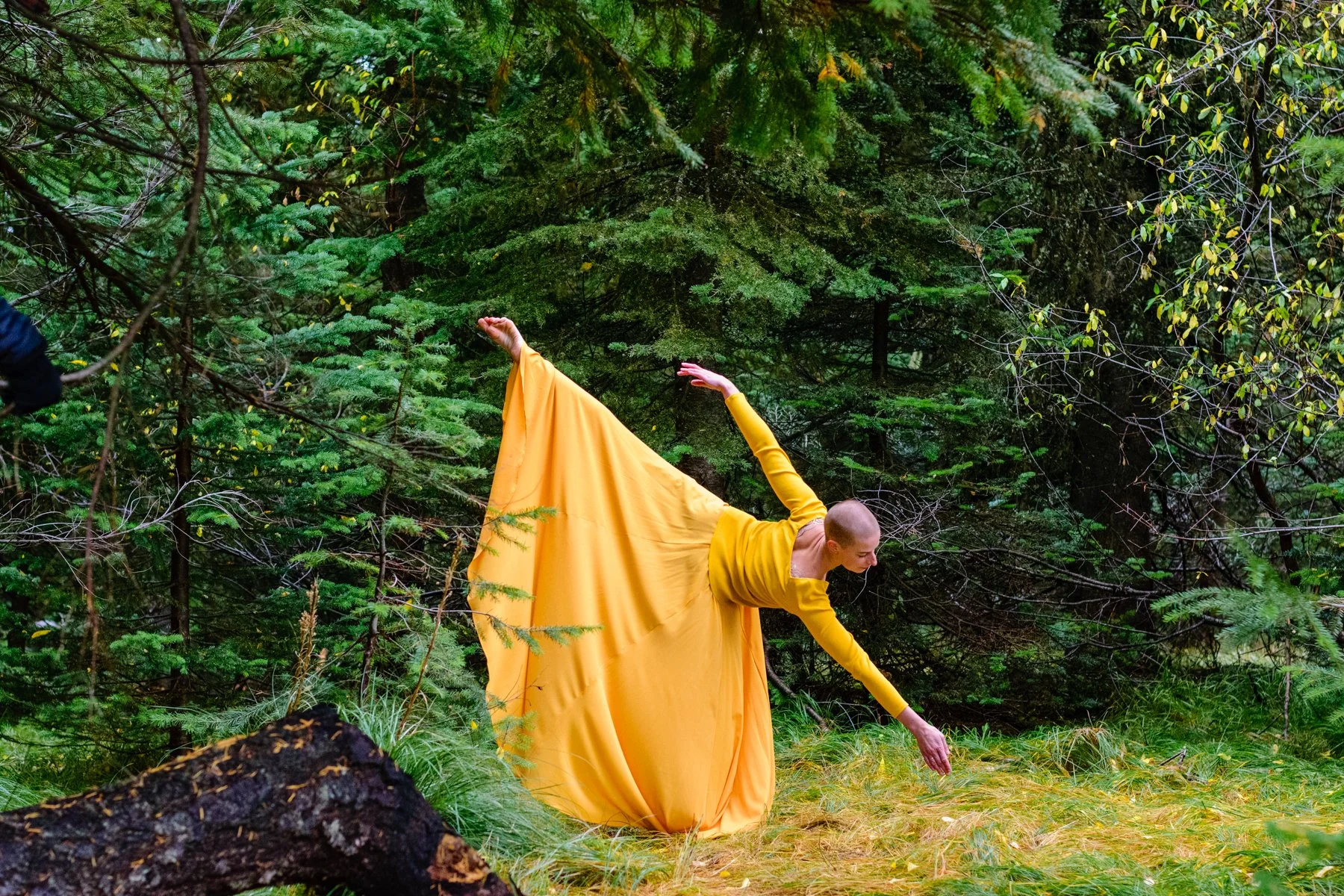 Vytal Movement Dance: Spokane, WA — Vytal Movement Dance