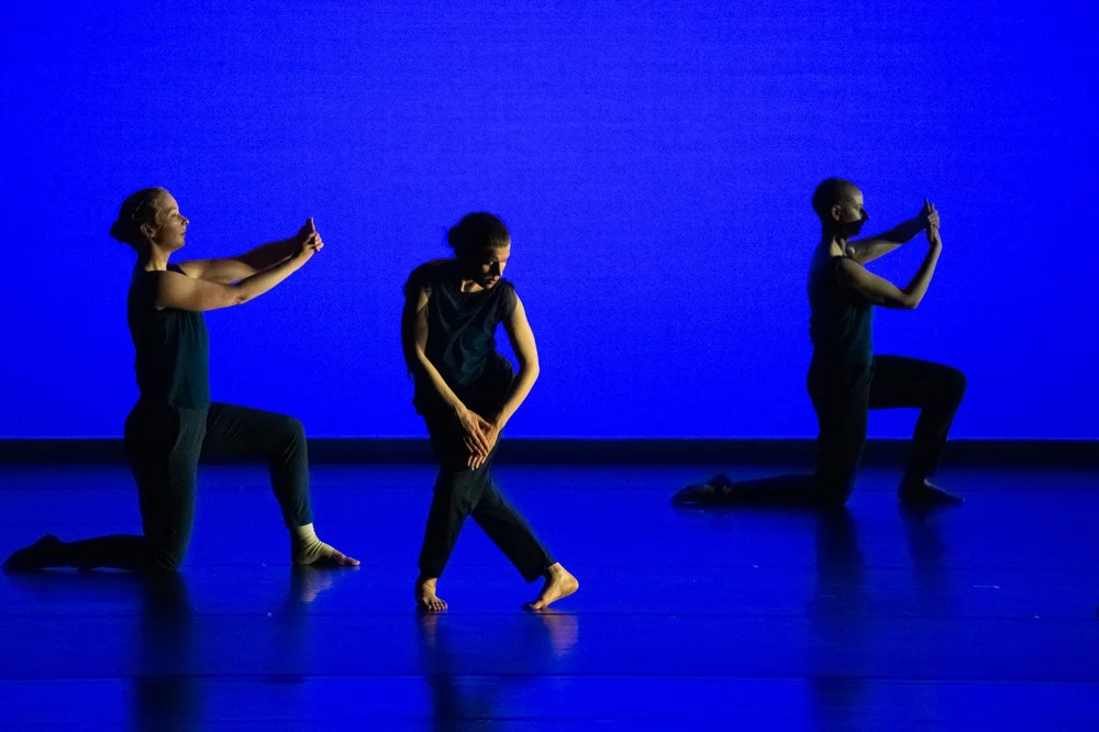 COMPANY ARTISTS — Vytal Movement Dance